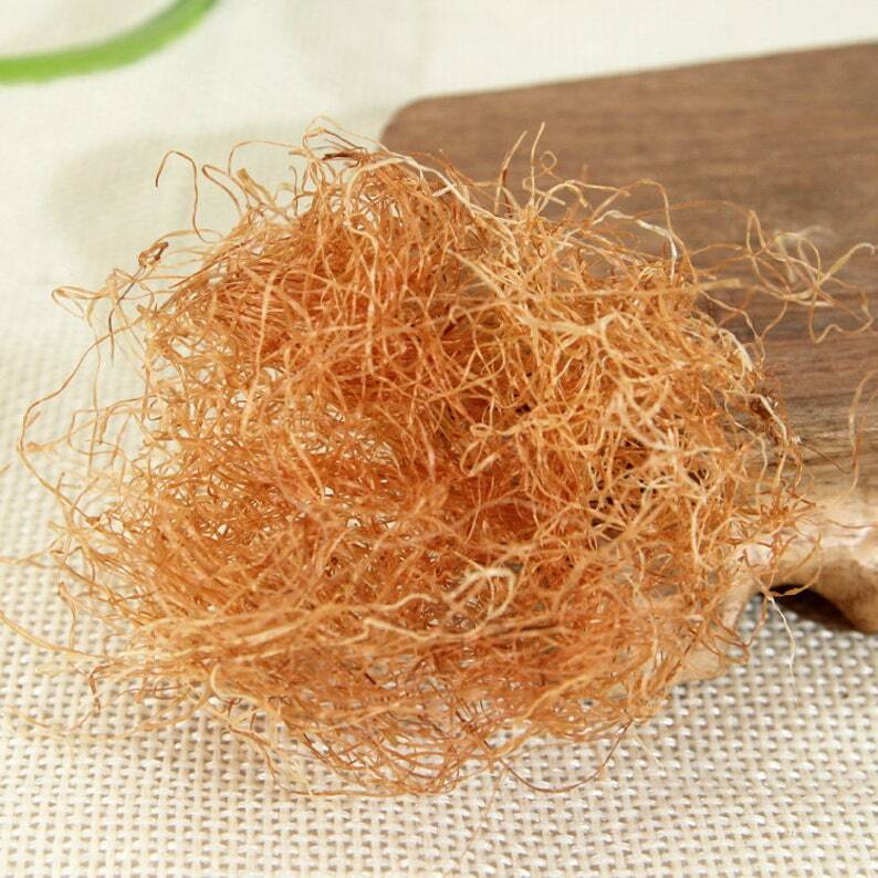 250 GR Corn Silk, Corn Mustache Tea, Stigmata Maydis Dried Herbal Tea ...