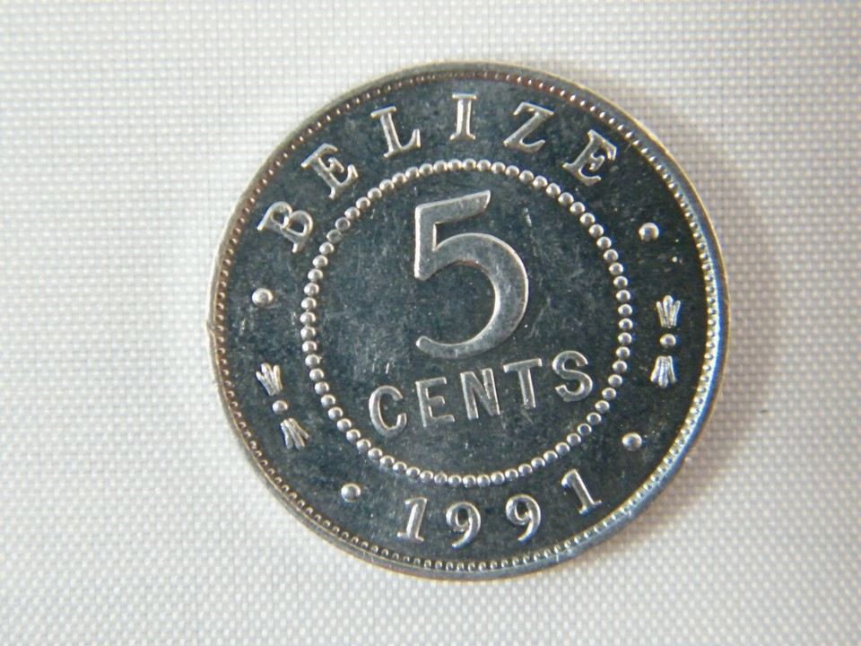 Moneda Coin Belize 5 Cent 1991 | World Coins | eBay