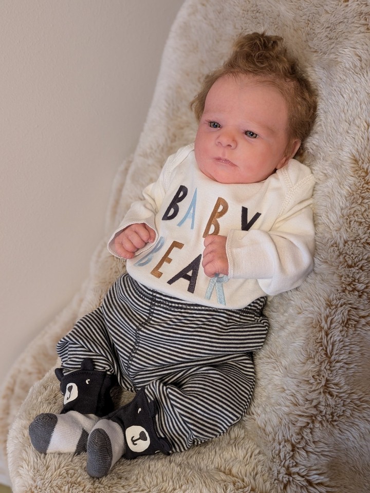 WILLIAMS NURSERY Realborn Ruby Awake Newborn Baby BOY Rooted Reborn ...