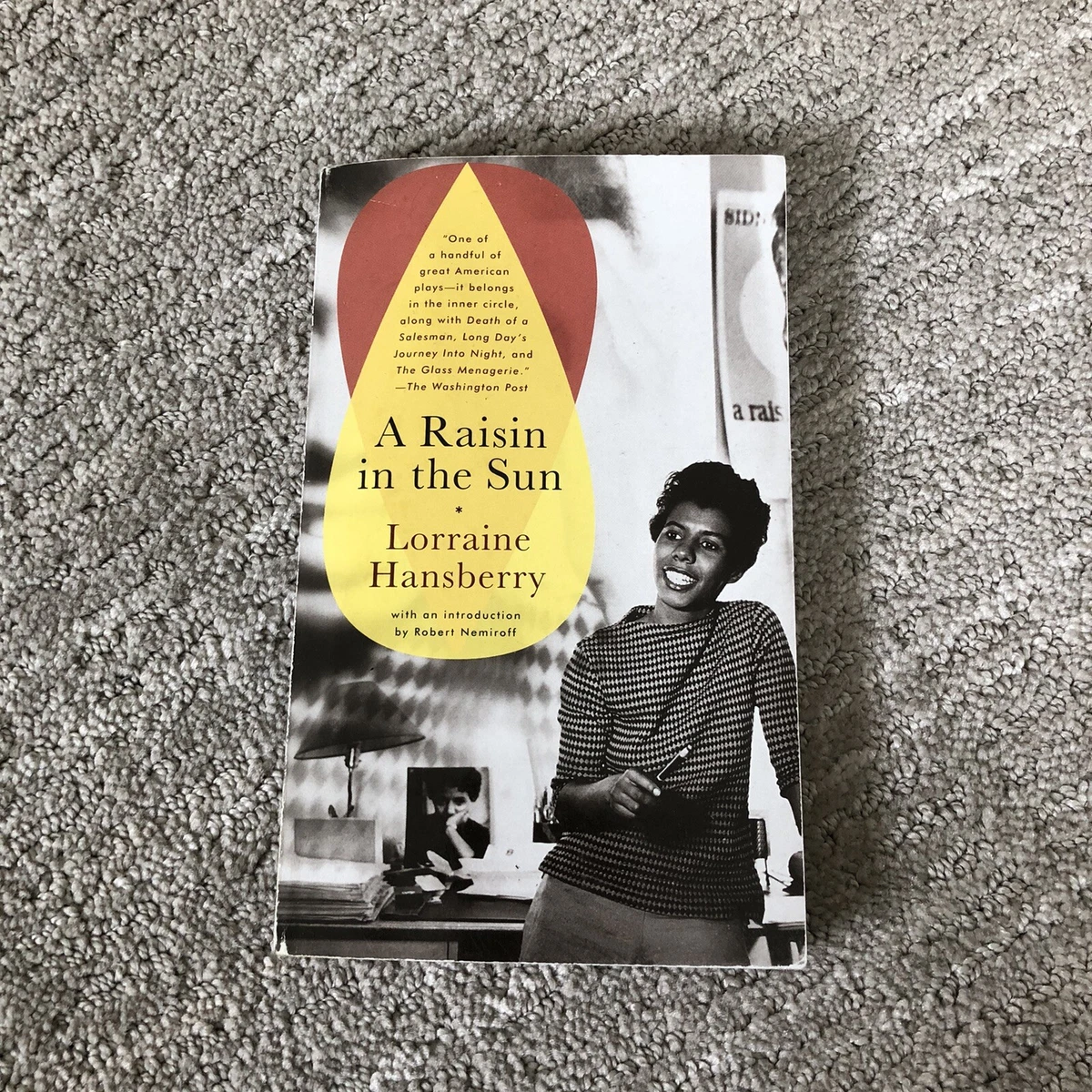 A Raisin In The Sun Book Cover