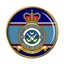 303 Signals Unit, RAF Pin Badge | eBay