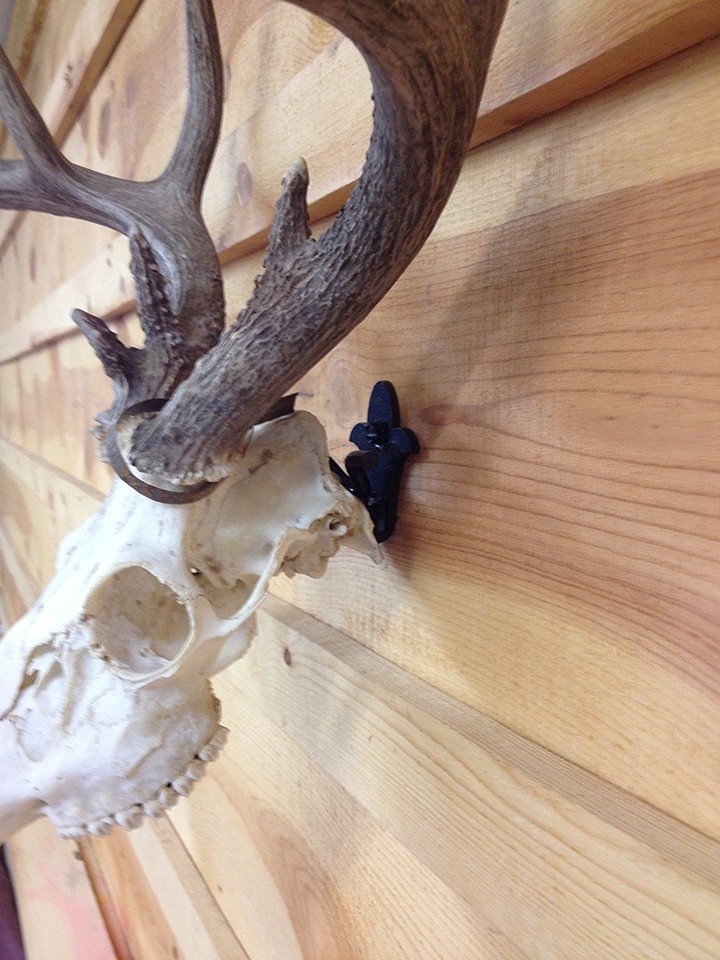 The "Buck Bracket" European Deer and Anteope Skull Hanger, Euro Mount Hooker USA | eBay