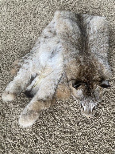 Wild Lynx Hide Pelt Fur Tanned Ultra Plush Real Log Cabin Decor Art ...