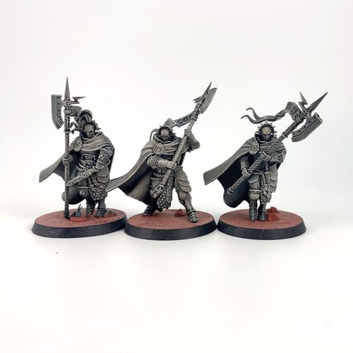 X3 Praetors Plastic Warhammer AOS | P-00GS8 | eBay UK