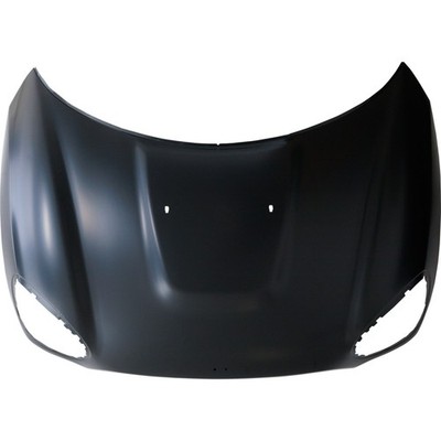 Hood For Mini Cooper Countryman 2017-2023 F60 | eBay