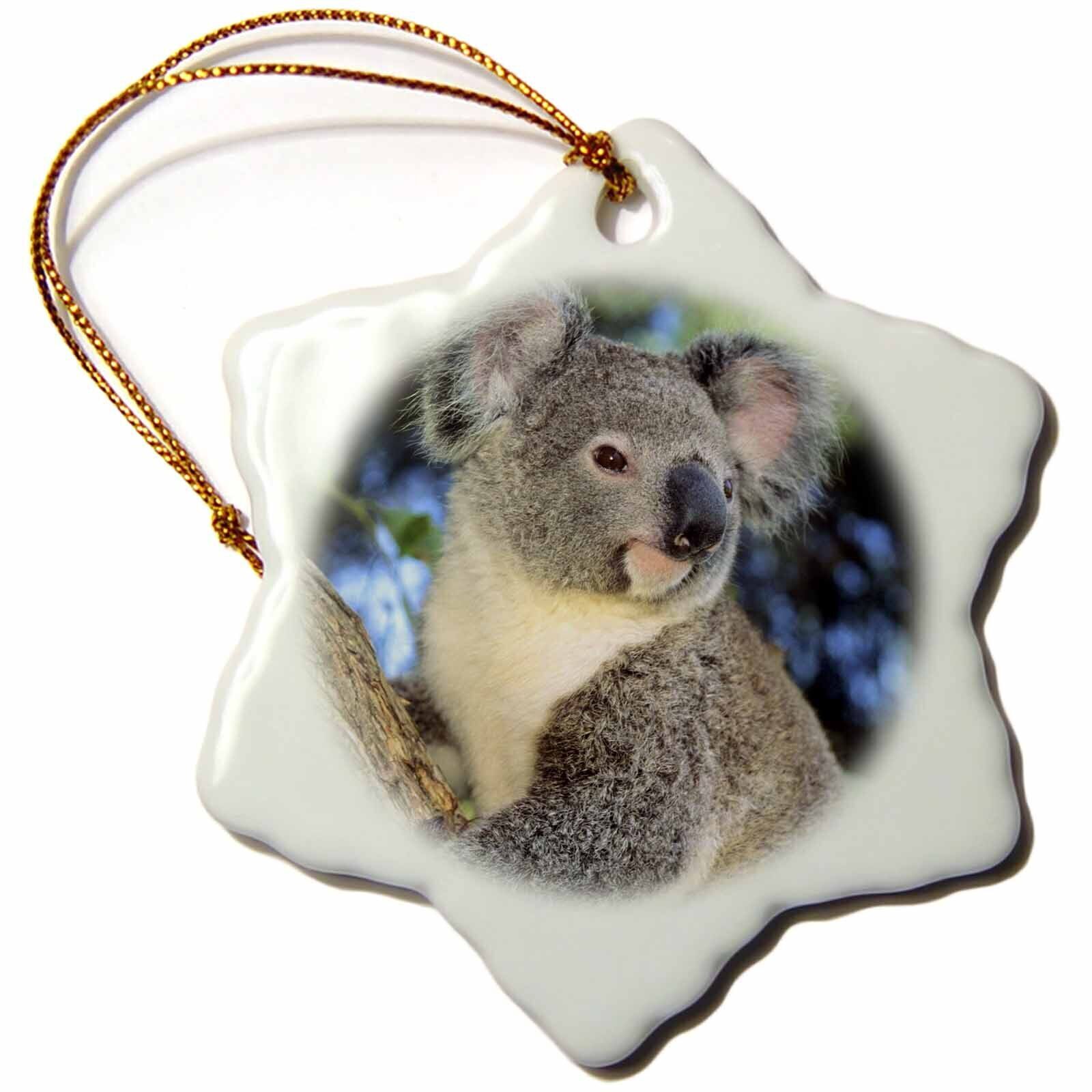 3dRose Koala bear, Australia, eucalyptus tree - SA01 KSC0000 - Kevin ...