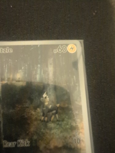 Blitzle 195/182 Sv04: Paradox Rift Holo | eBay