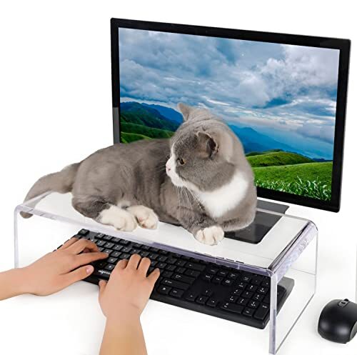 Paw Keycaps Animal Keycaps - Cute & Creative Artisan Keycaps For ...