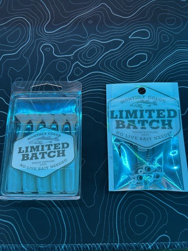 NLBN Limited Batch SNOWBIRD, 1/8oz Jig Heads(3), 3in Paddle Tails(5) | eBay