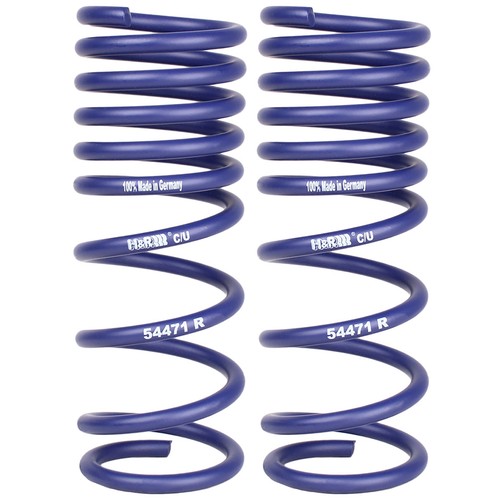 H&R 54471R Lowering Sport Rear Springs Kit for 2022-2023 Subaru WRX Typ ...