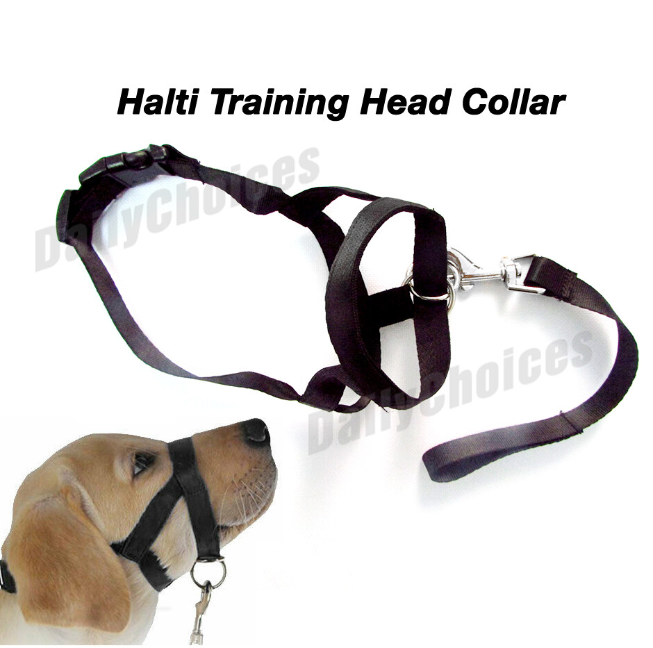 Dogalter Dog Halter Halti Head Collar Dog Training Stops Pulling ...