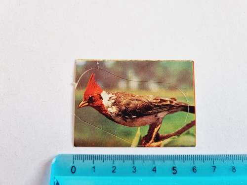 Adhesive Bird Sticker Autocollant Adhesive Vintage 80s Original | eBay