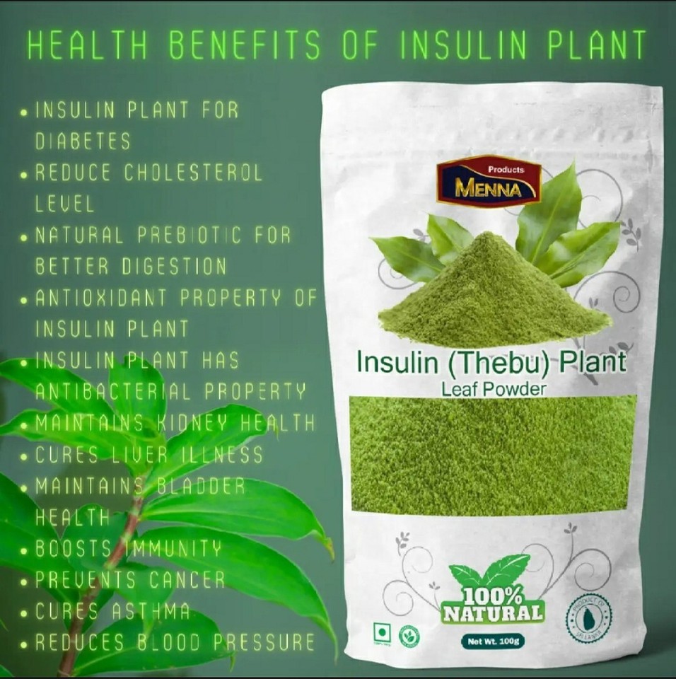 Organic Insulin Plant Leaf Powder (Costus Igneus) Best For Diabetic ...