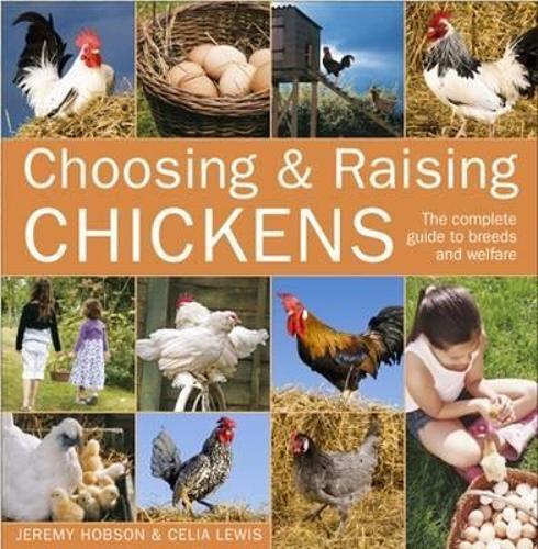 Celia Lewis Choosing and Raising Chickens (Poche) 9780715333105 | eBay