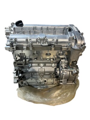 New GM Ecotec LNF 2.0L Turbo Engine Long Block Assembly 19329341 | eBay