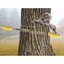 SQUIRREL SPINNER CORN FEEDER FUN! SQUIRRELS LOVE IT SEWF2150 FREE SHIP ...