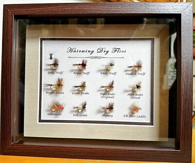 Flies - Fly Display