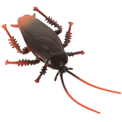 Plastic Fake Cockroach Prop Realistic Bug Halloween Trick Joke Party ...