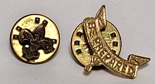 Boy Scouts Hat / Lapel Pins, Lot of 2 | eBay