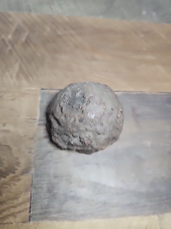 Dugway Thunderegg Polished Rock Geode Blue Agate. Skull With Horns ...