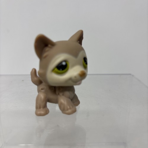 LPS Littlest Pet Shop #358 Tan Husky With Green Eyes Hasbro 2000 | eBay