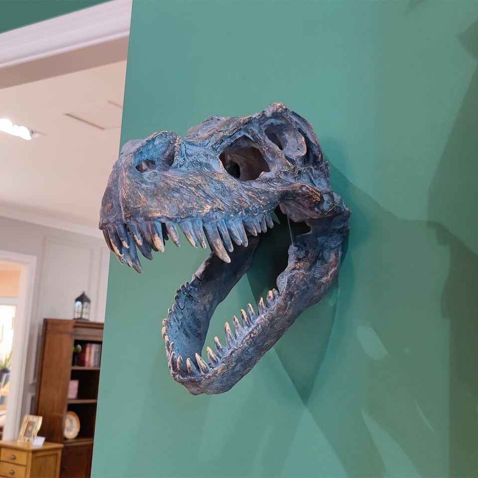 T-rex Skull Wall-Mounted Dinosaur Head Trophy Faux Taxidermy Wall ...