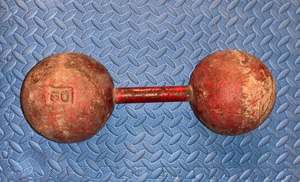 WAXED VINTAGE JACKSON GLOBE DUMBBELL 50LBs POUNDS | eBay