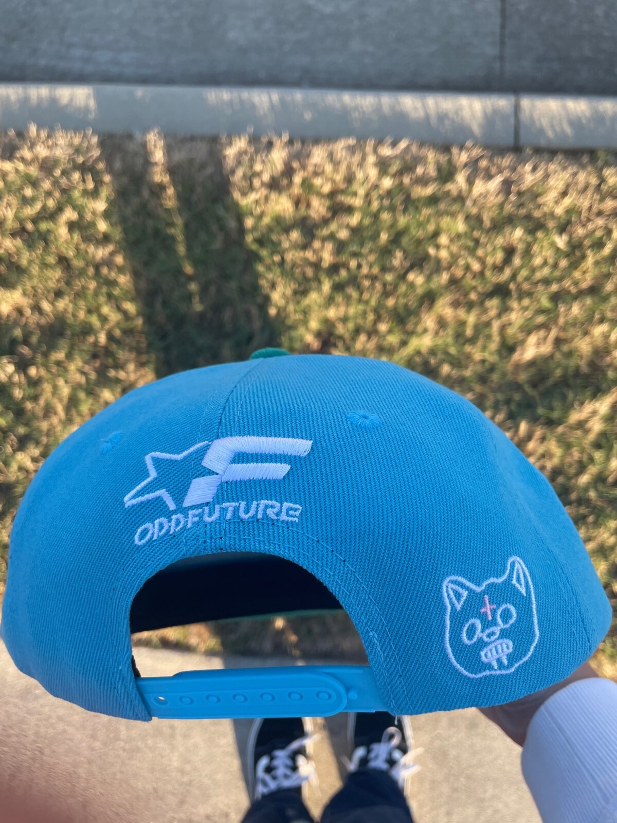 Tyler the Creator Wolf Mens Womens Hat Cap Snapback Cap Casquette ...