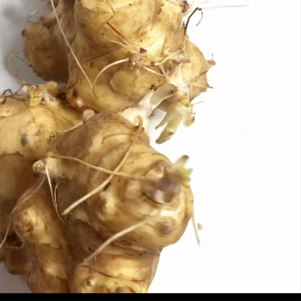 2.5lbs Jerusalem Artichokes AKA Sunchokes; Sunroot; Wild Sunflower | eBay