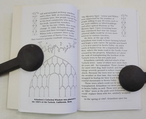 HOW TO GROW A CHAIR: THE ART OF TREE TRUNK TOPIARY- Richard Reames-VG ...