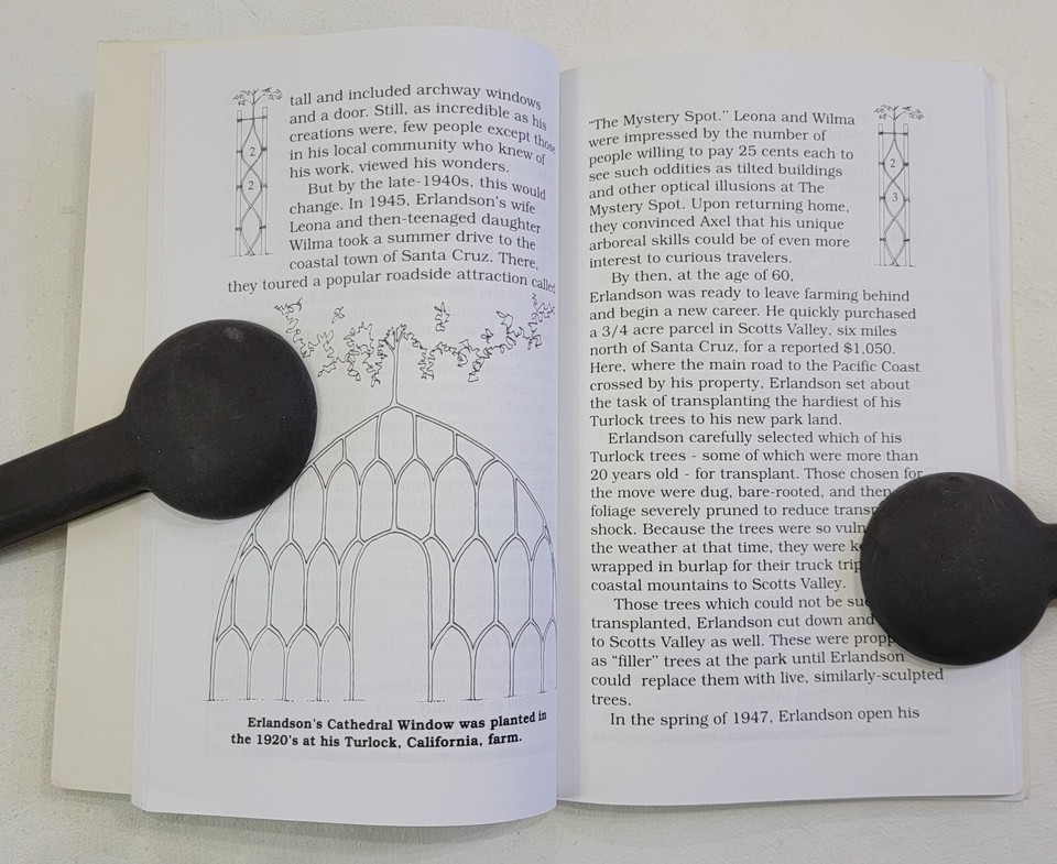 HOW TO GROW A CHAIR: THE ART OF TREE TRUNK TOPIARY- Richard Reames-VG ...