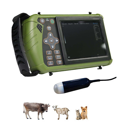 Veterinary Ultrasound System, Portable Vet Ultrasound Machine Scanner ...