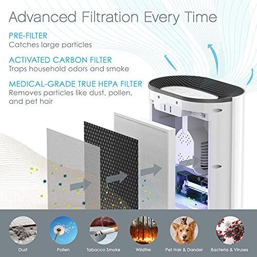 3-in-1 True Hepa Air Filter Replcmnt 2Pk Pure Enrichment PureZone ...