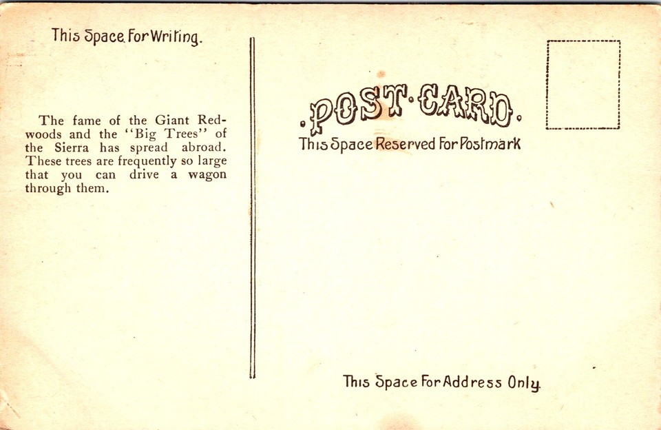 CA A California Big Stick, Man Sitting on Tree Bump, DB, Unposted | eBay