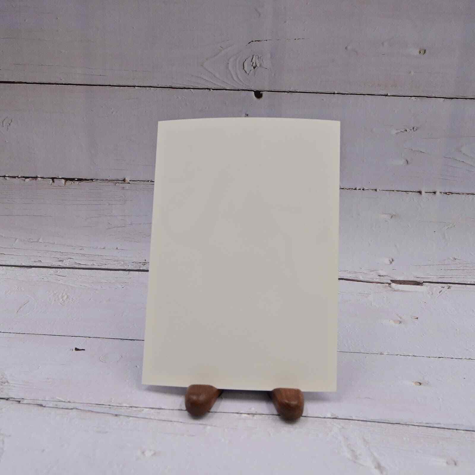 Vintage Original Colt Studio Tim Rawlins B&W Photo Session 5x7 | eBay