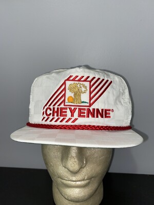 Trucker Hat Baseball Cap Vintage Cheyenne Lid | eBay