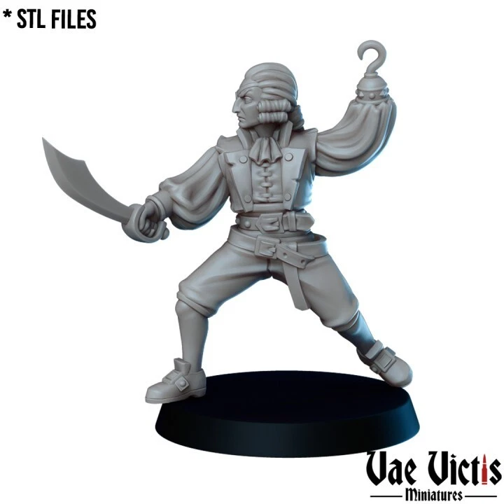 Pathfinder Pirate