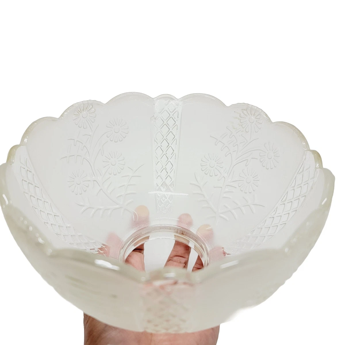 Replacement Globe For Ceiling Fan Hampton Bay Shelly Lighting 5302