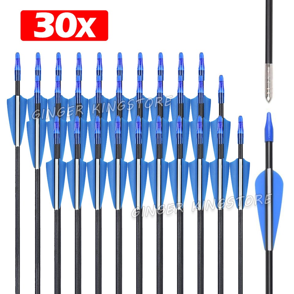 10~100 31" Fiberglass Arrows Archery Hunting Target Compound Bow Fiber ...