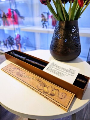 New! Universal Studios Japan Interactive Harry Potter Wand and Map ...