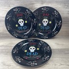 HALLOWEEN/DAY OF THE DEAD 13" MELAMINE PLATES - SUGAR SKULL-SET OF 3 | eBay