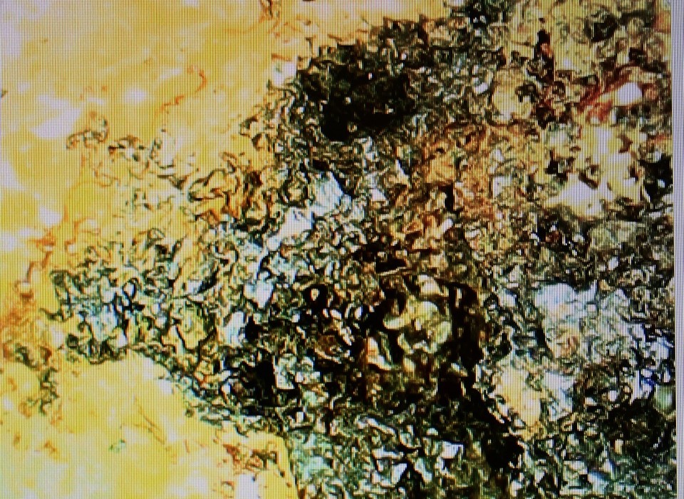 Gold Ore Crystal Cluster Gemmy 1800s Ore Knob Copper Mine North ...