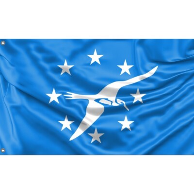 Corpus Christi Flag, Texas USA | Unique Design, 3x5Ft/90x150cm | eBay