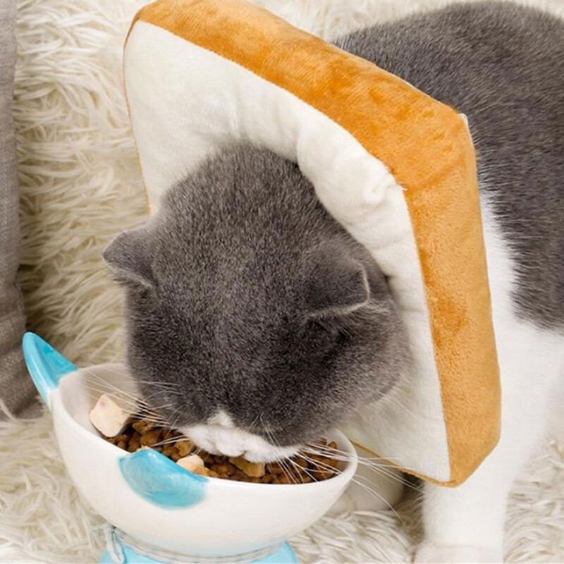 Toast Shaped Recovery Cone for Pet Cats Small Medium Large Dogs | eBay
