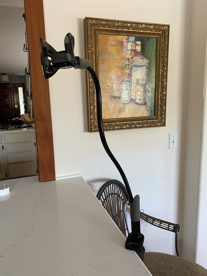 Gooseneck Kindle Tablet Or Holder Stand for Bed, Flexible Arm Mount for ...
