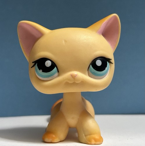 Authentic LPS Littlest Pet Shop short hair cat #339 Brooke Hayes | eBay