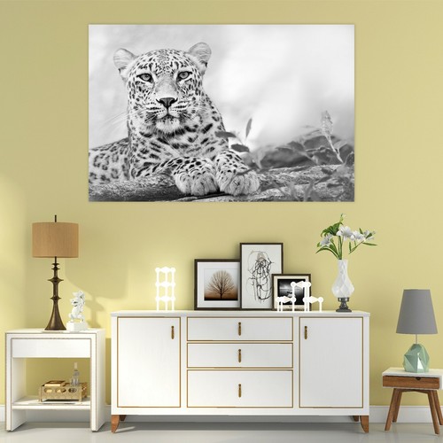 3D Snow Leopard O311 Animal Wall Stickers Vinyl Wallpaper Mural Wall ...