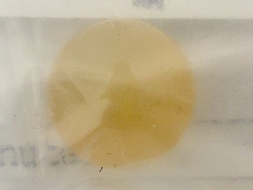 Storz E5617-14 Silicone Eye Sphere 14mm | eBay