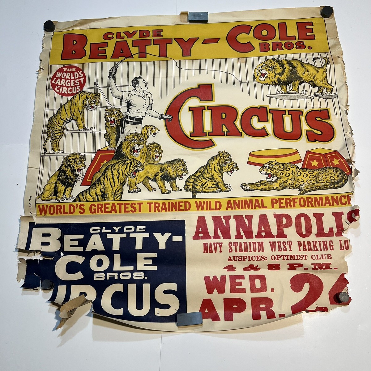 Clyde Beatty Clyde Beatty Cole Bros. Circus Poster #1 | Chairish