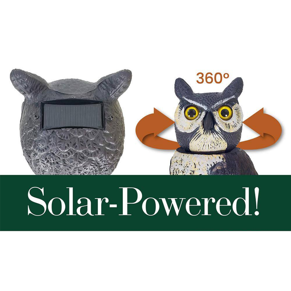 Outdoor Owl Realistic Scarecrow Solar Powered Head 18.5 In. H SOL-R ...